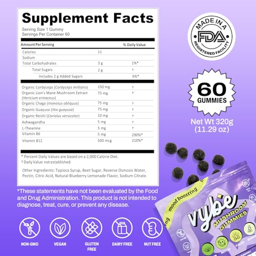 Focus-enhancing nootropic mushroom formula