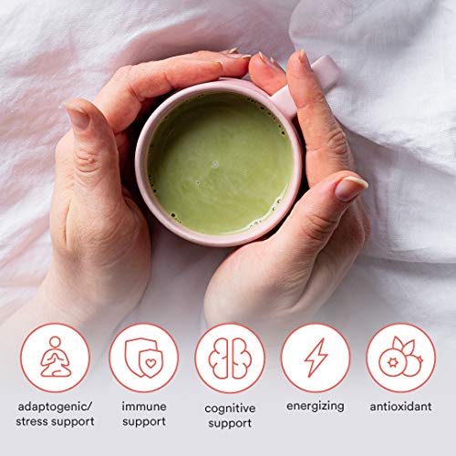 Focus Matcha superfood for brain health
