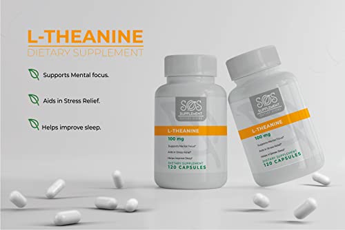 focus supplement for busy lifestyles