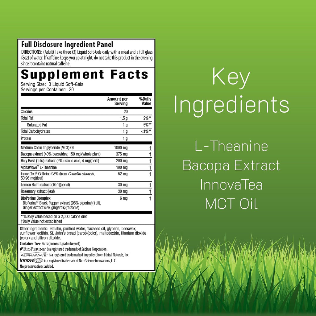 focus supplement for daily energy