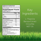 focus supplement for daily energy