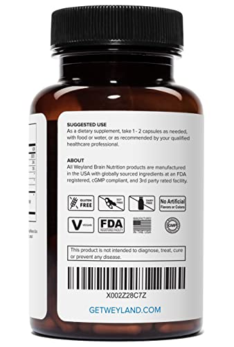 focus support supplement for daily wellness
