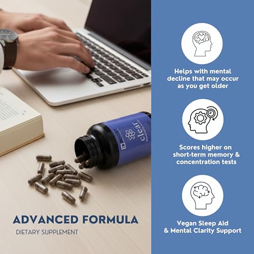 Focus support with Ginkgo biloba