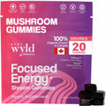 Focused Energy+ mushroom gummies for mental clarity