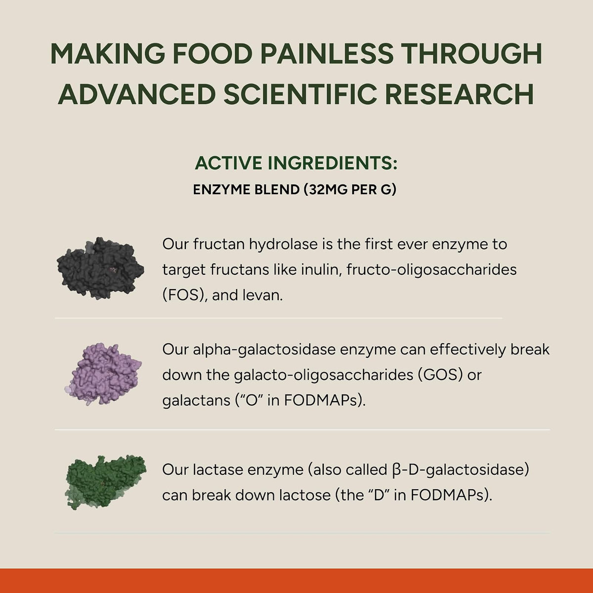 FODZYME digestive enzymes support gut health