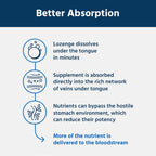 Folate and B12 for brain health