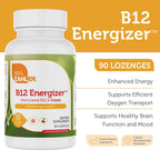 Folate and B12 for daily wellness