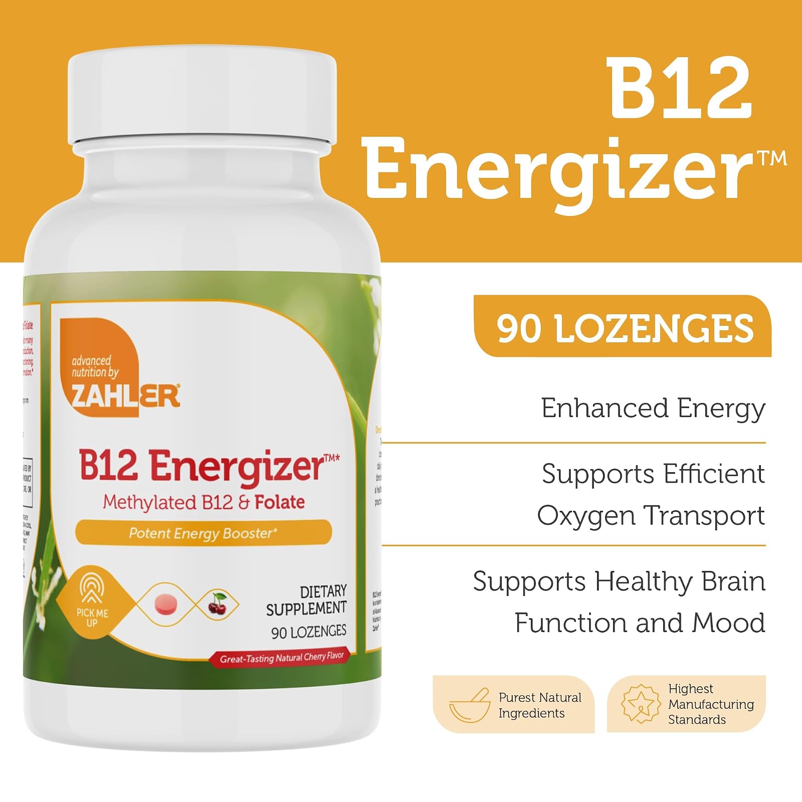 Folate and B12 for daily wellness
