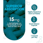 Folate and folic acid benefits