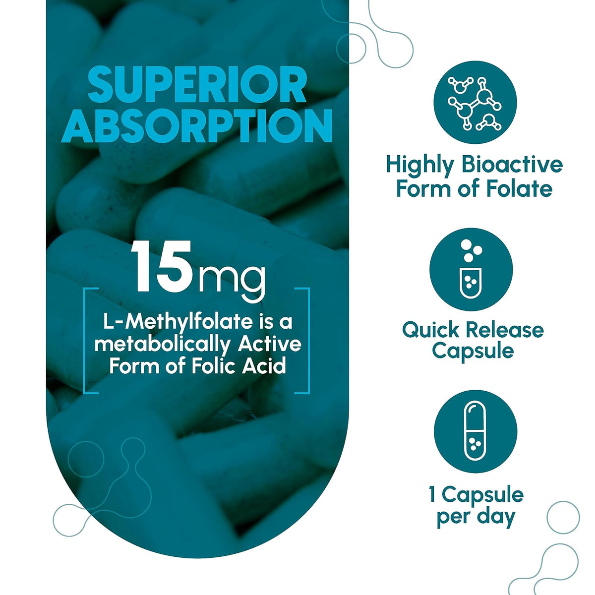 Folate and folic acid benefits