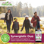 folate enriched vitamin b12 formula