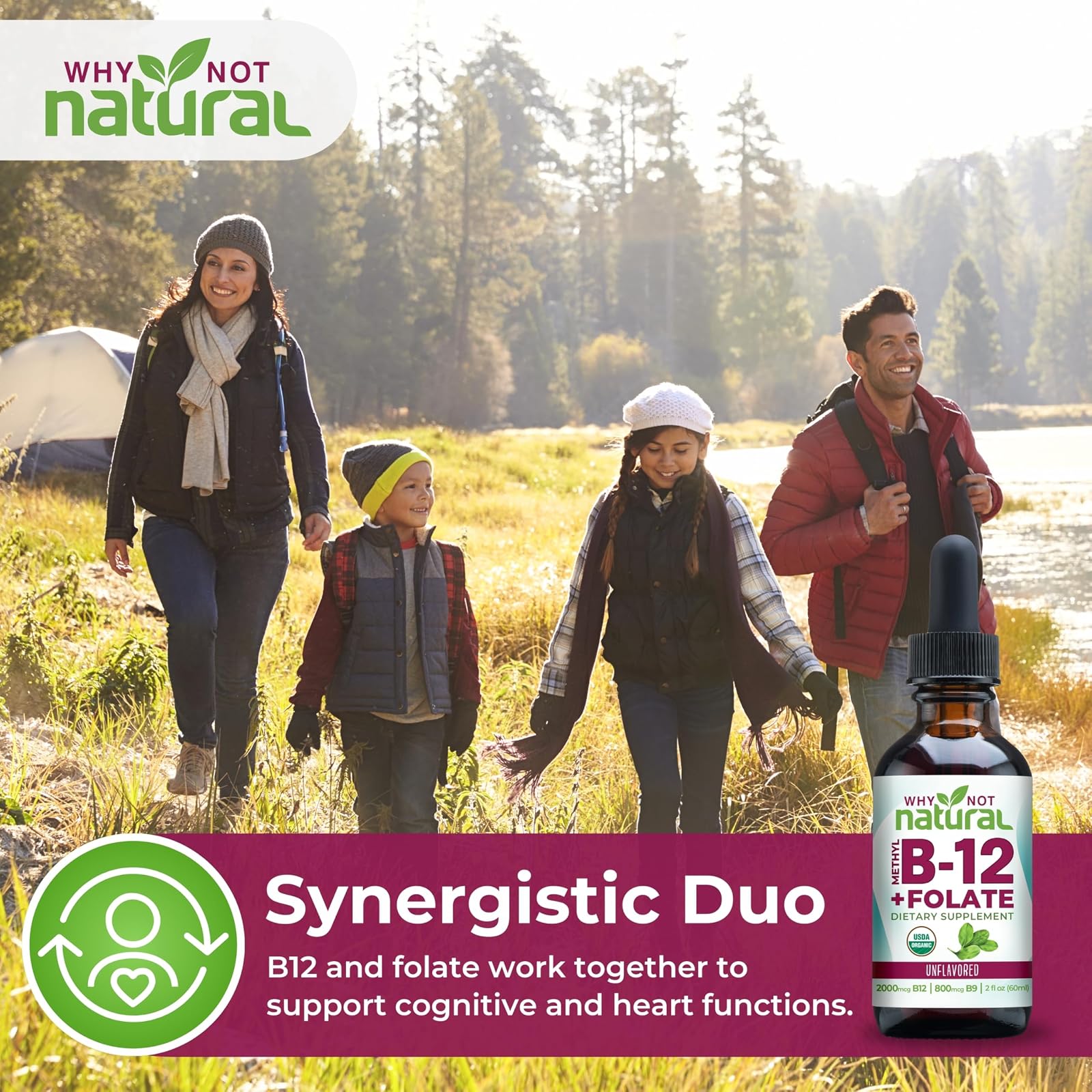 folate enriched vitamin b12 formula