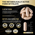 Folate & folic acid benefits