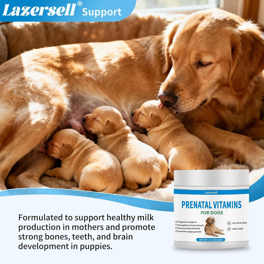 Folic acid for dog pregnancy support