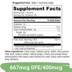 Folic acid gummies for pregnancy support