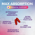 folic acid prenatal vitamins benefits