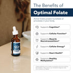 FolinicActive vitamins for overall wellness