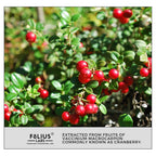 FOLIUS LABS herbal supplement benefits