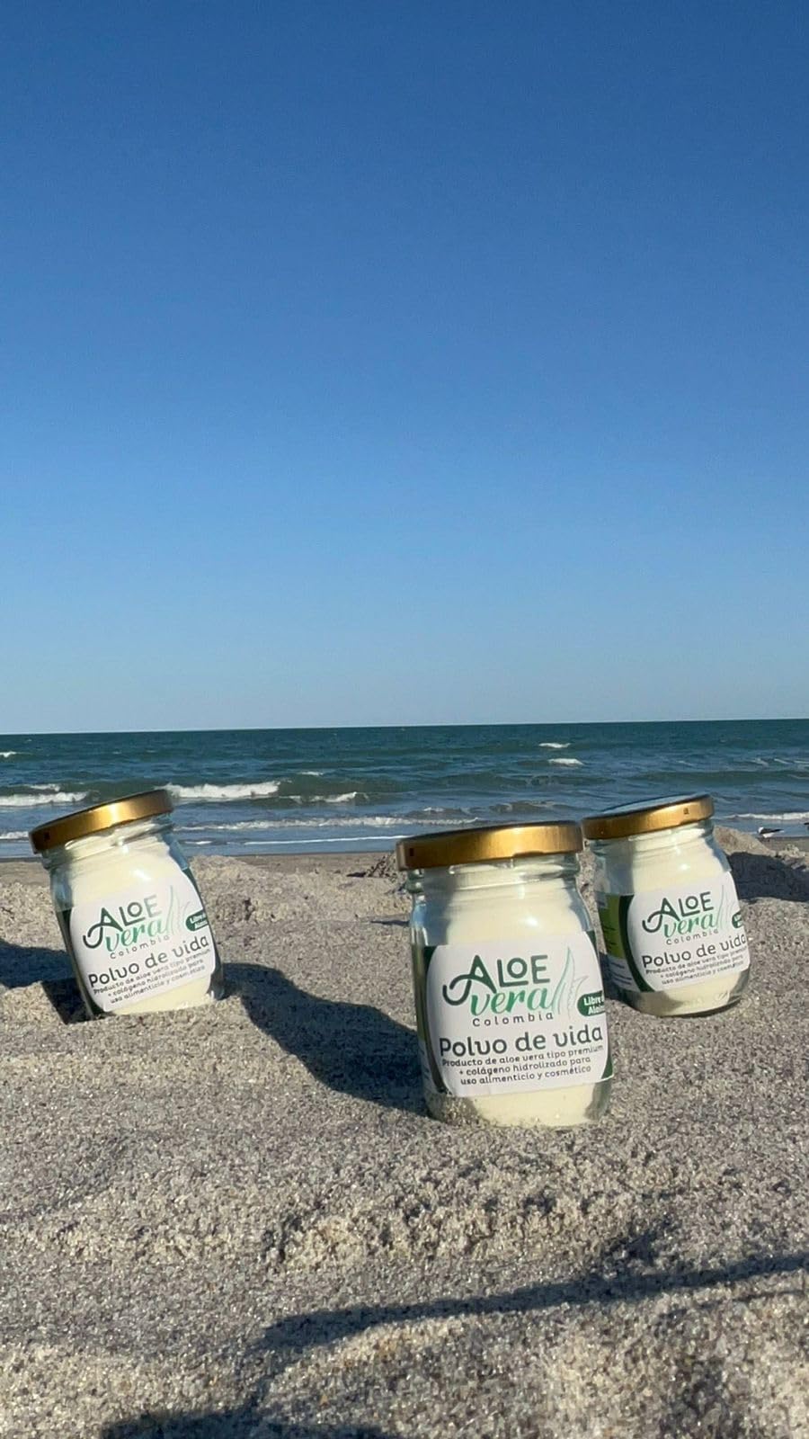 food grade spirulina supplement