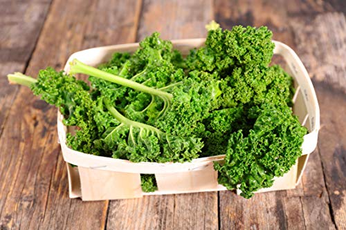 Food to Live kale sprout powder benefits