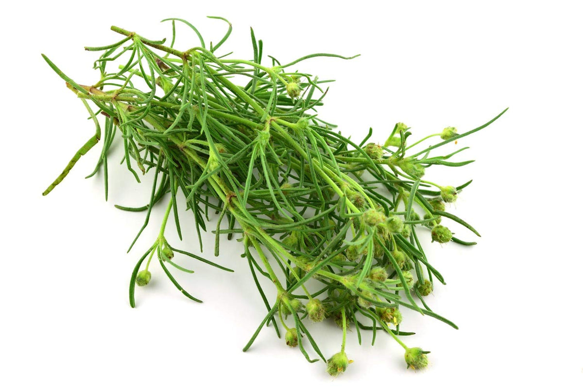 Food to Live psyllium for baking