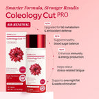 FOODOLOGY green tea extract capsules