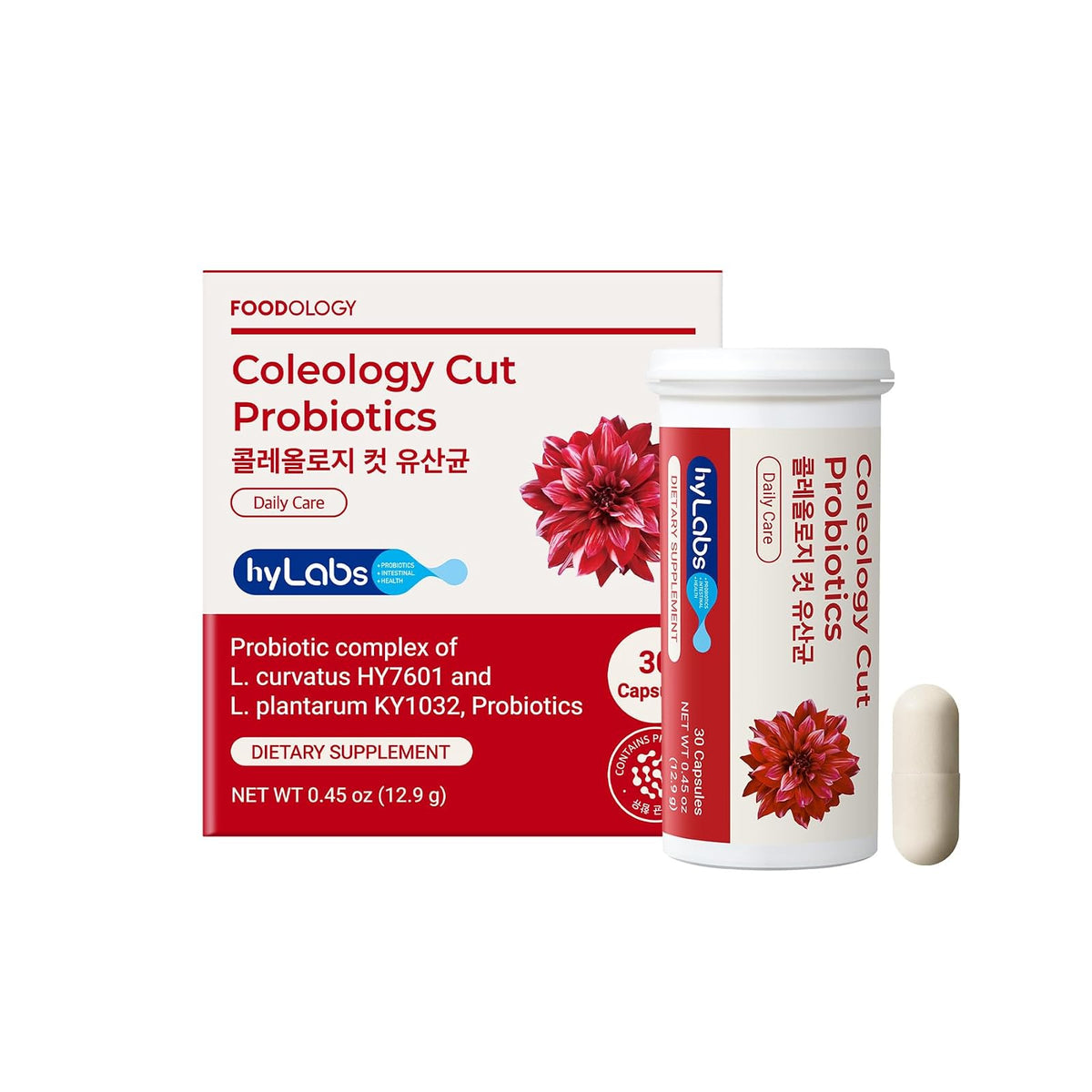 FOODOLOGY probiotics for digestive health