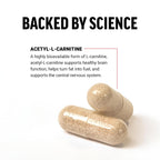 Force Factor acetyl l-carnitine benefits