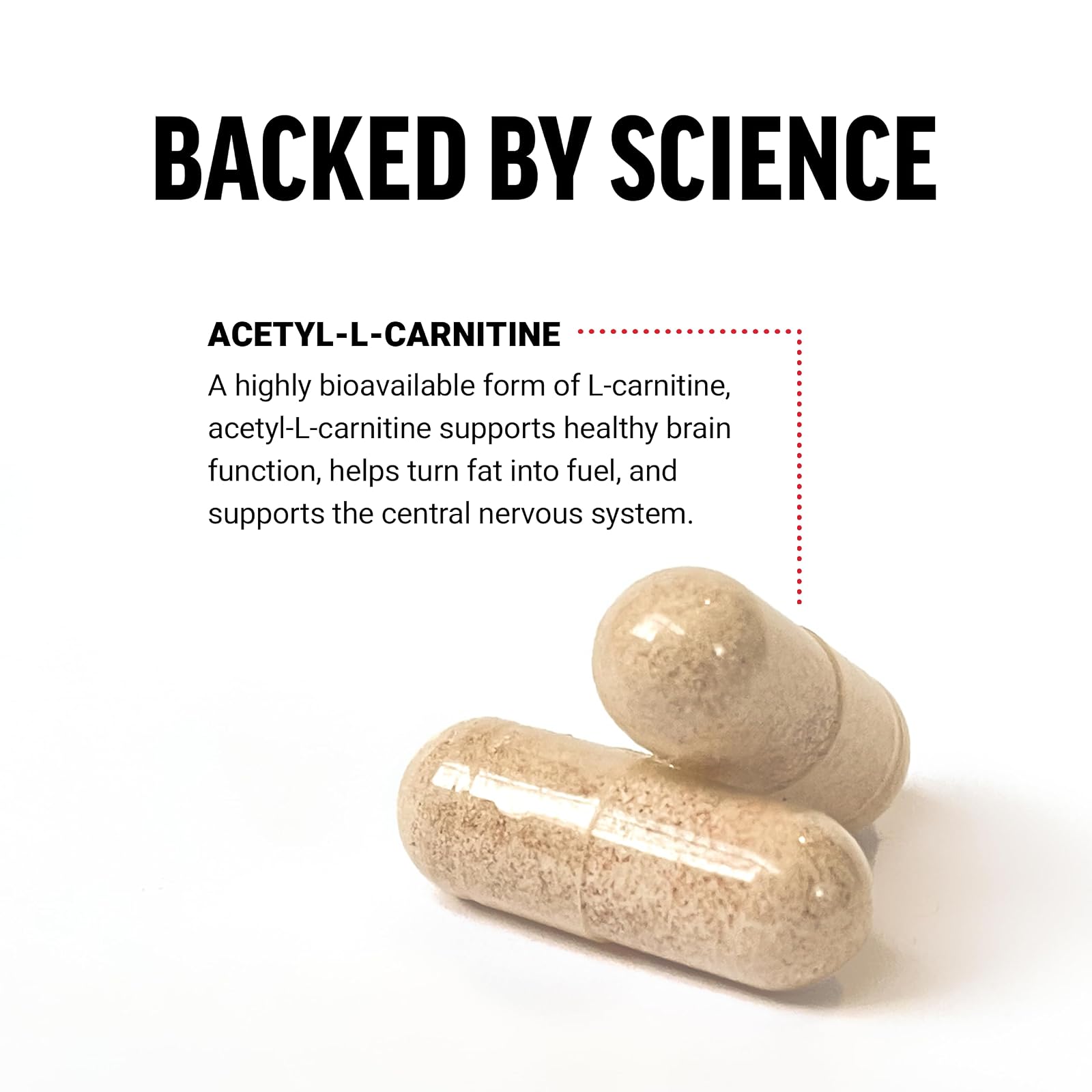 Force Factor acetyl l-carnitine benefits
