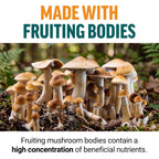 Force Factor adaptogen gummies for stress relief