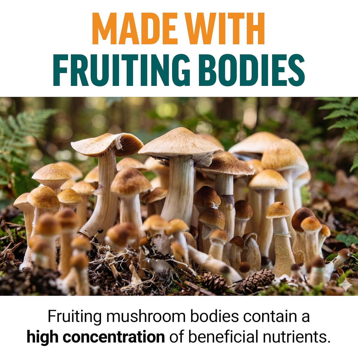 Force Factor adaptogen gummies for stress relief