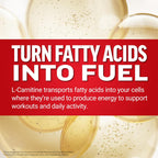 Force Factor amino acid benefits