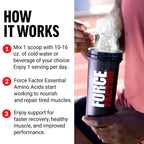 Force Factor amino acids for energy