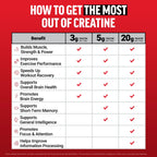Force Factor creatine for recovery