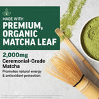 force factor mighty matcha benefits