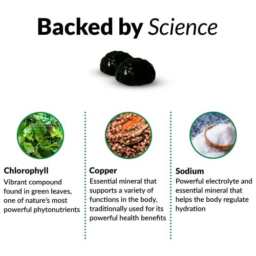 Force Factor Smarter Greens for daily wellness
