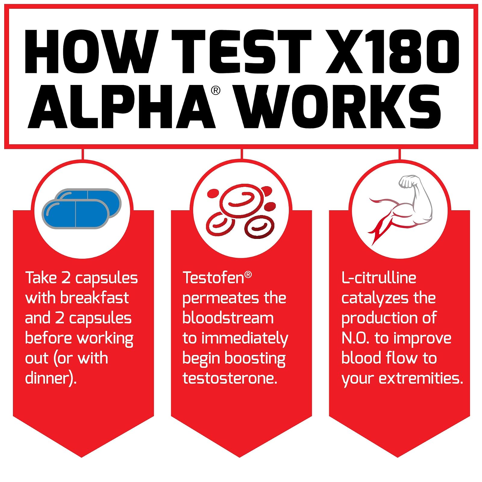 Force Factor Test X180 Alpha for vitality and stamina