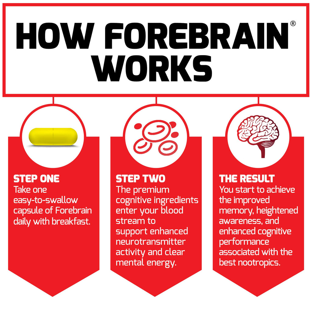 Forebrain supplement for daily use