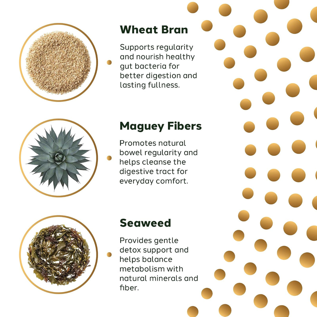 Forte prebiotics for daily nutrition