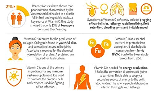 fortified vitamins for immune health