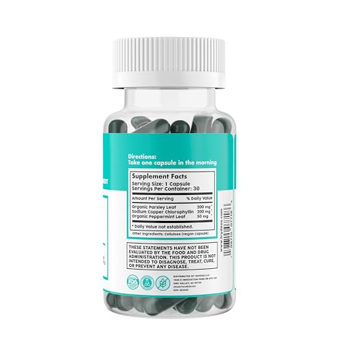 fortnite chlorophyll ivy for gamers