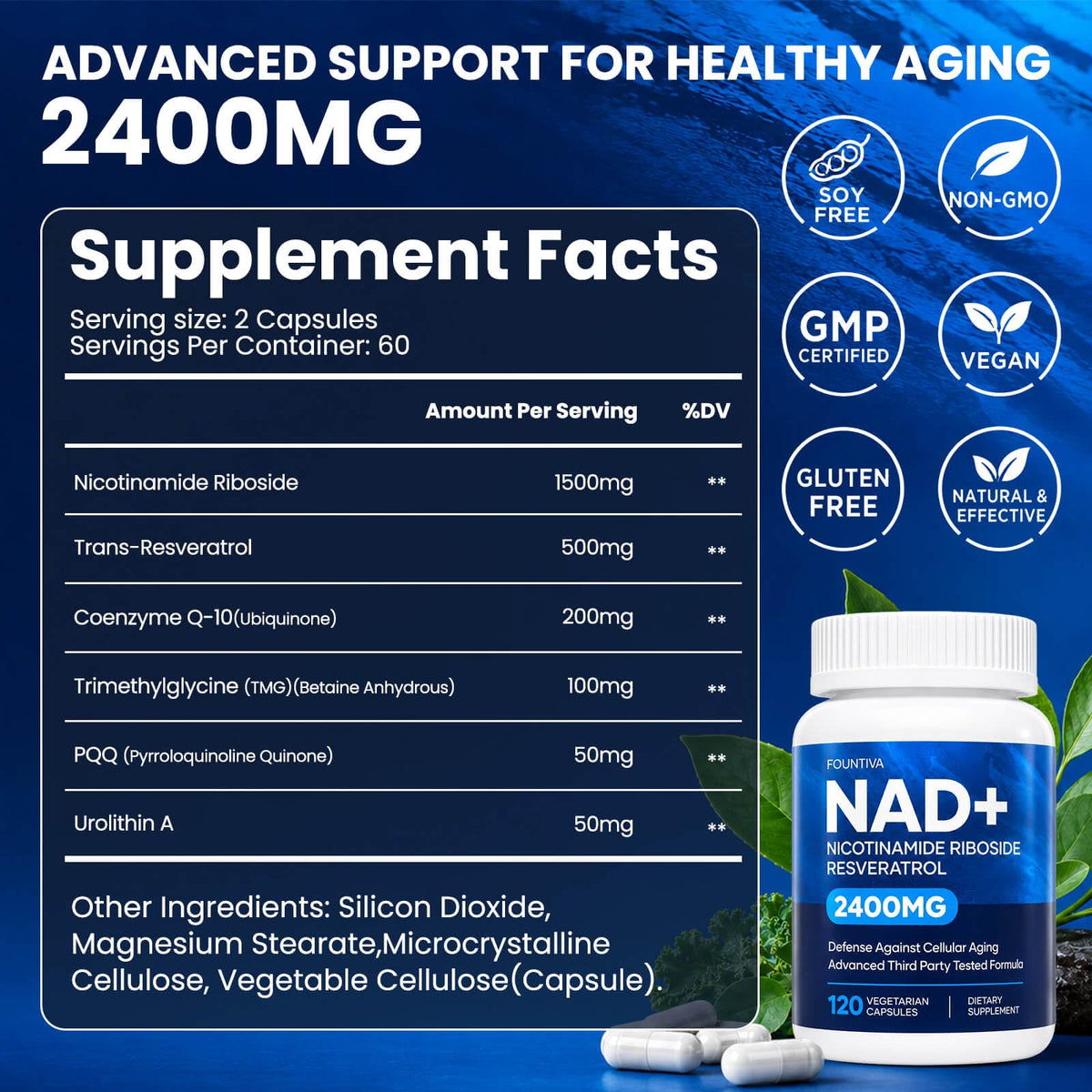 FOUNTIVA resveratrol for healthy aging