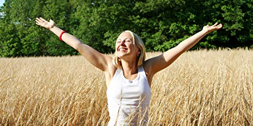 Four bottles of astragalus capsules