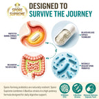 four strains of probiotics benefits