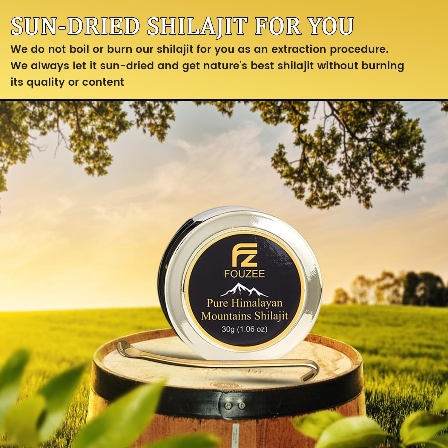 FOUZEE shilajit for detoxification