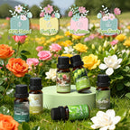 fragrance oils for home ambiance