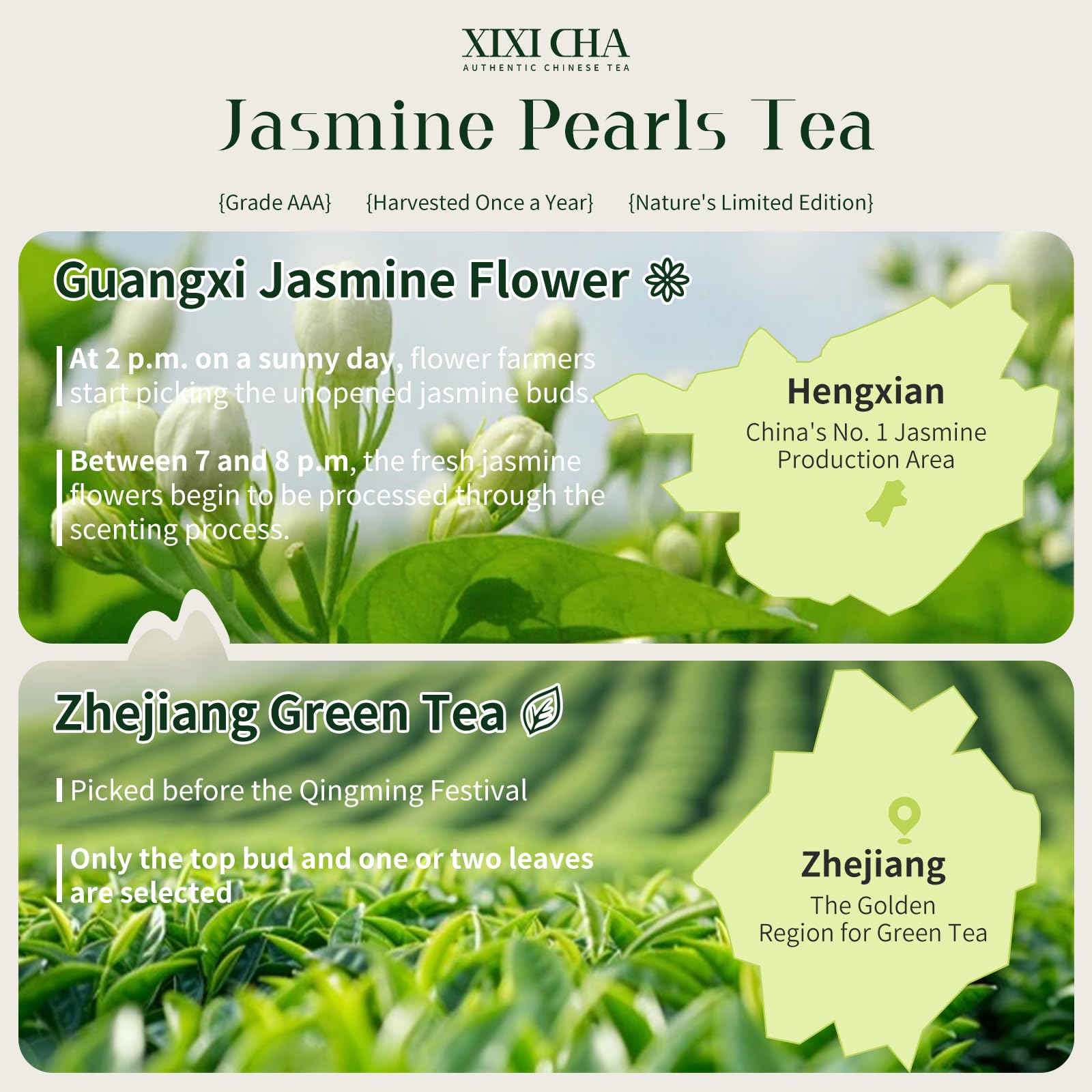 fragrant jasmine pearls herbal tea
