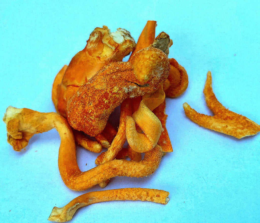 freeze-dried cordyceps mushrooms benefits