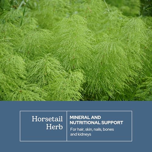 freeze-dried herbal supplement benefits