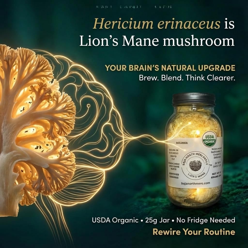 freeze-dried mushrooms for convenient storage